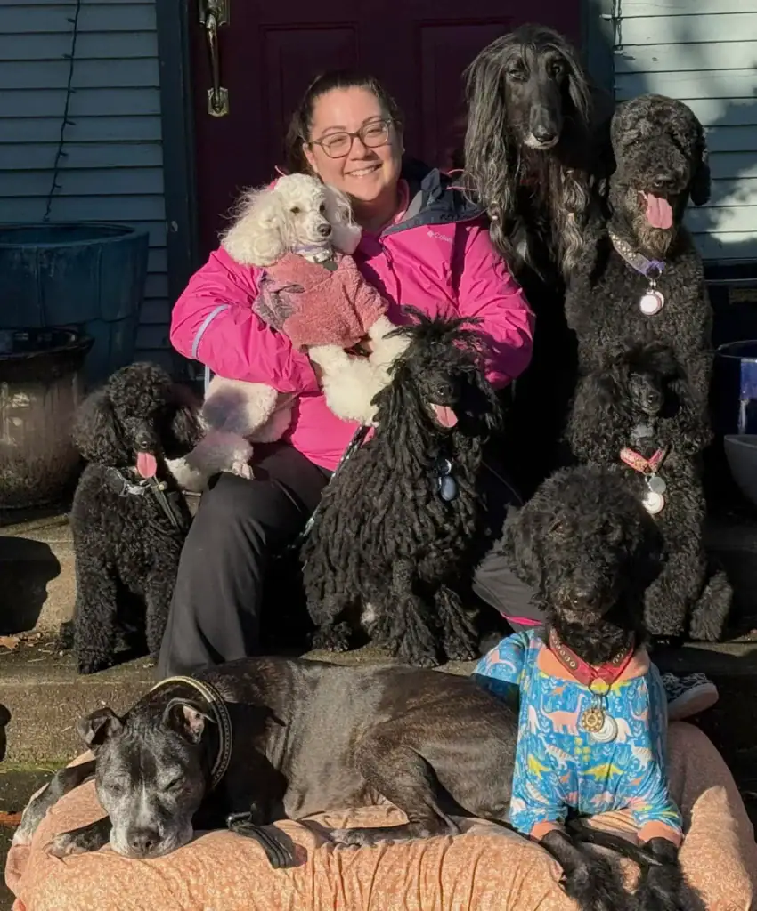 Meet Amy - Expert Grooming at the Gilded Paw